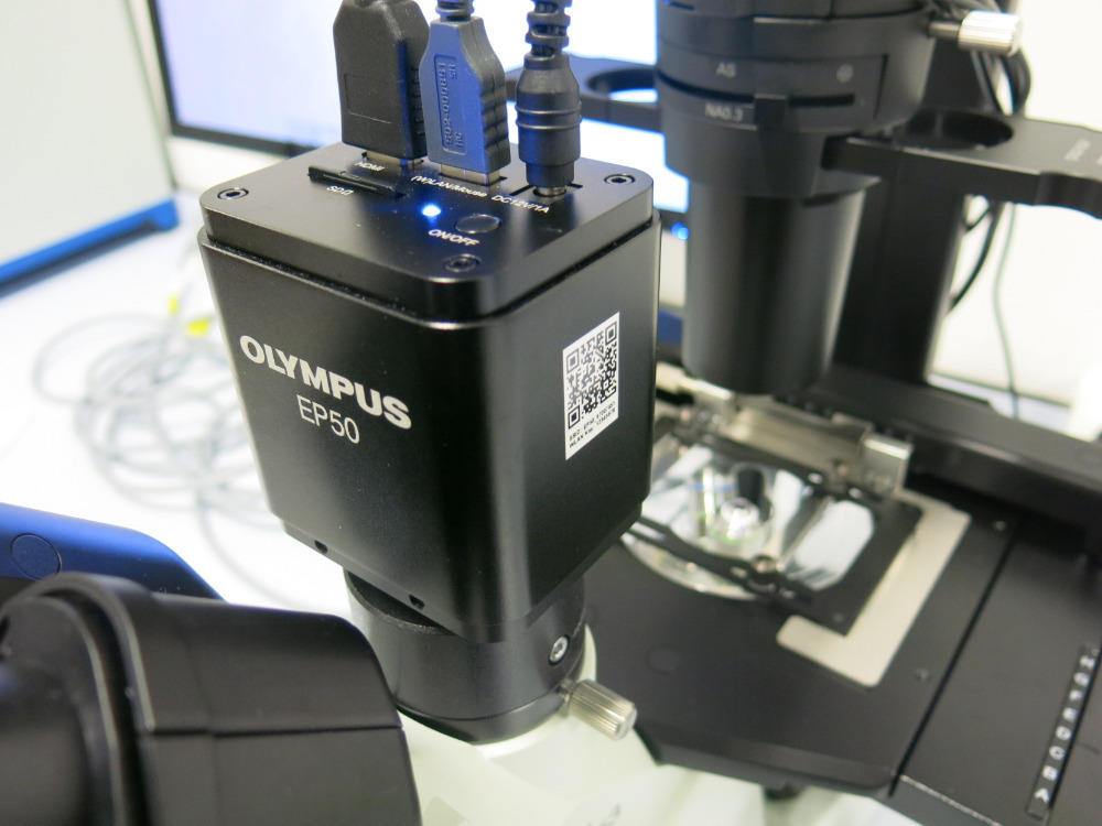Olympus CKX53 SFO Optical Microscope , S/N 2E49429 with Olympus EP50 Camera For Live Cell ...