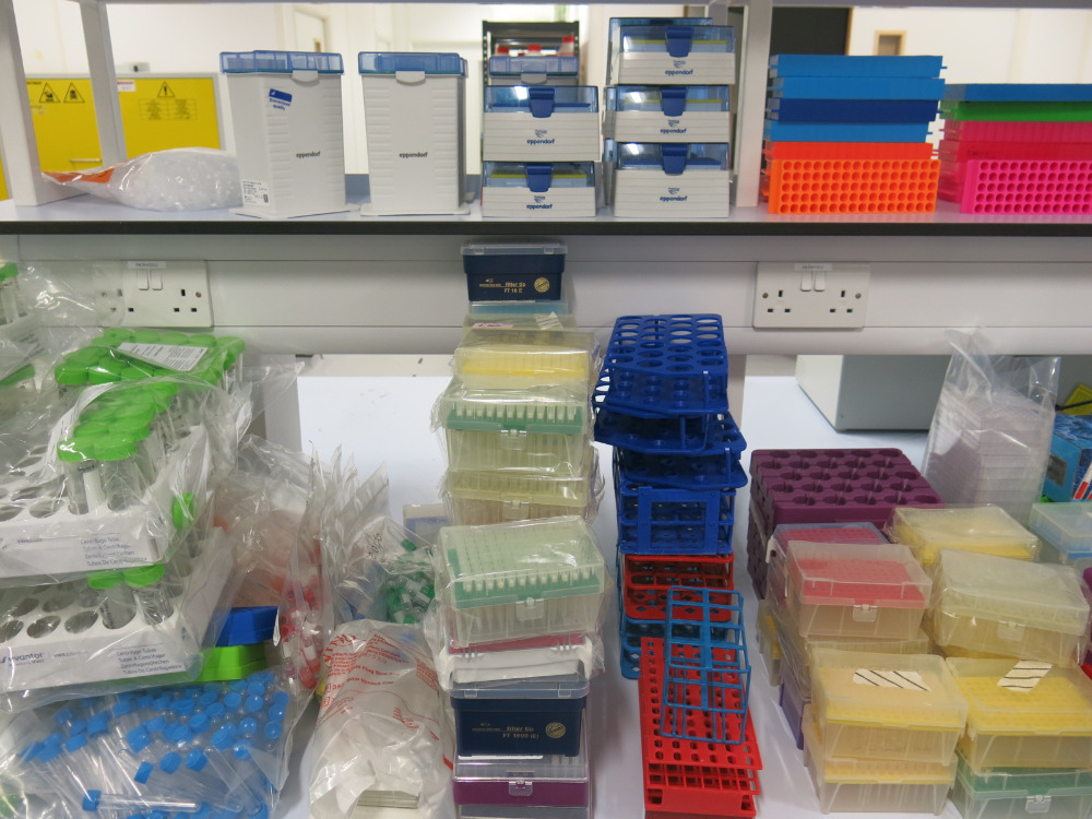 Approx 200 x Assorted Sample Stands, Perpet Filter Tips, Test Tube ...