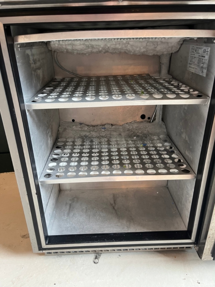 Foster Single Door Under Counter Freezer, Model 13-104 LR150, E6005496 ...